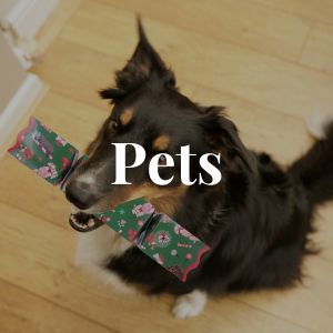 Pet Crackers & Bonbons – Christmas Cracker Warehouse